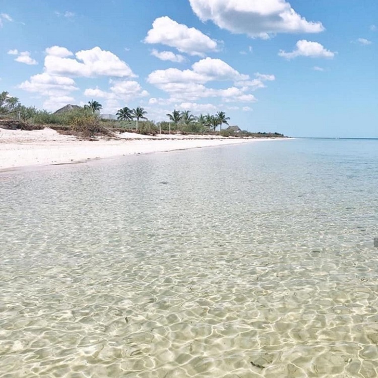 San Crisanto: la combinación perfecta de manglares, playa y mucha paz ...