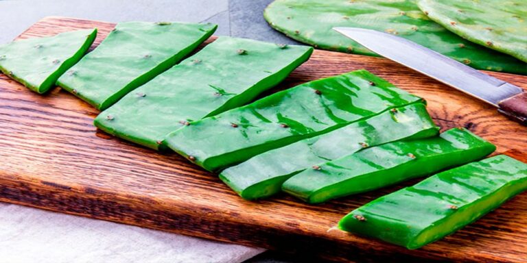 Recomendación: La baba de nopal como medicamento para la piel - Retratos