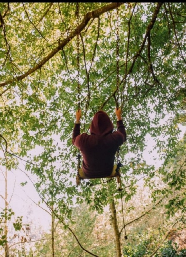 Conoce éstas cabañas en la sierra de Oaxaca; en un bosque mágico, lo ...